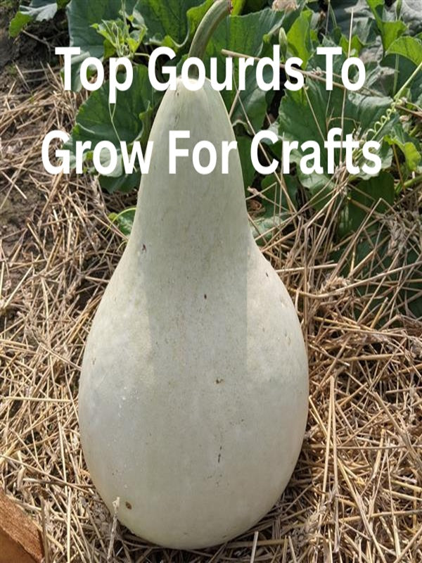 Top Gourds to Grow for Crafts, Birdhouses & Fall Décor ...