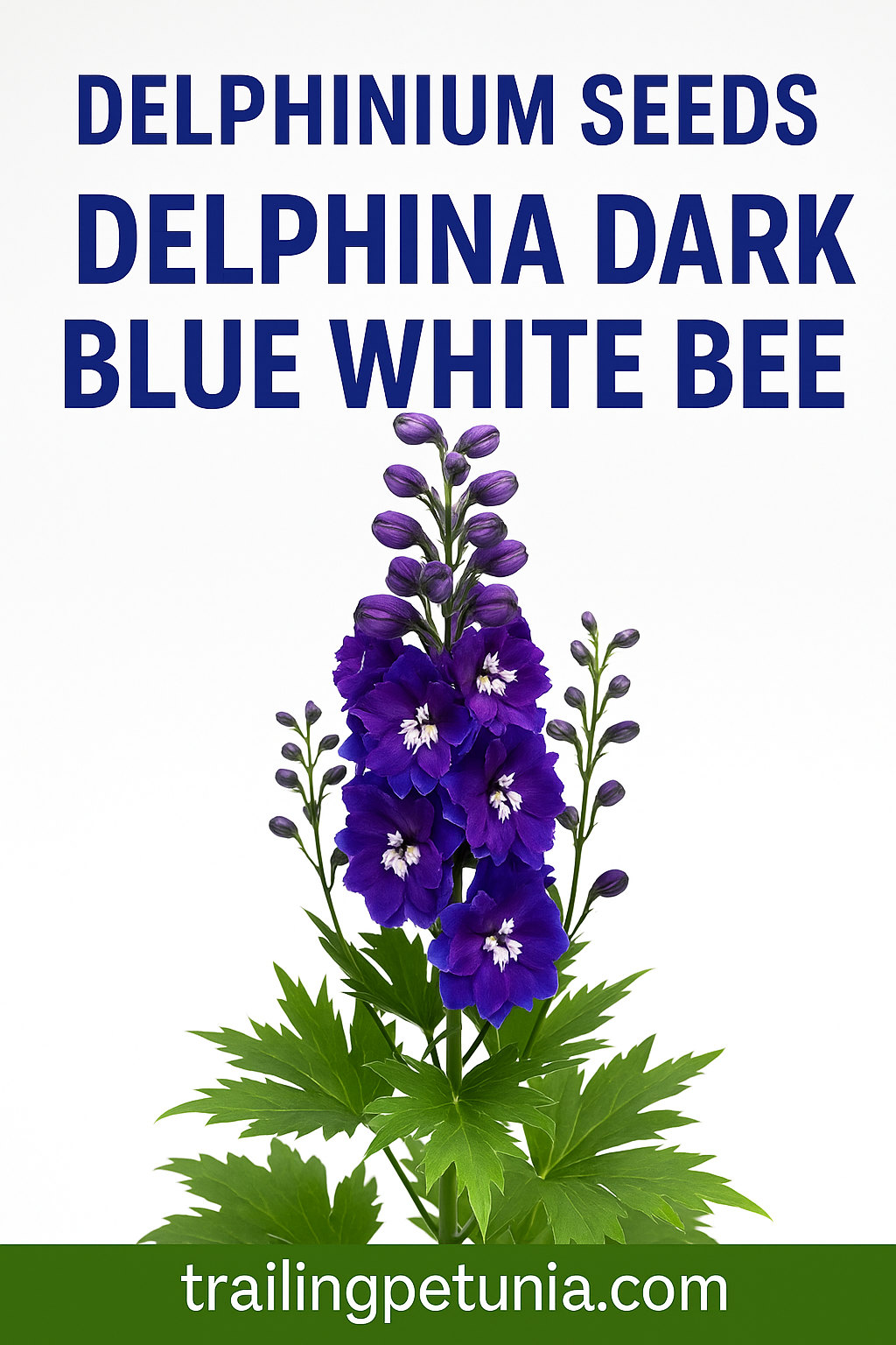 Delphinium Delphina Dark Blue White Bee – A Striking Addition to Every ...