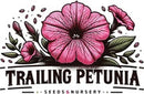 Zinnia Spacing Guide: How Far Apart to Plant Zinnias for Bigger Blooms ...
