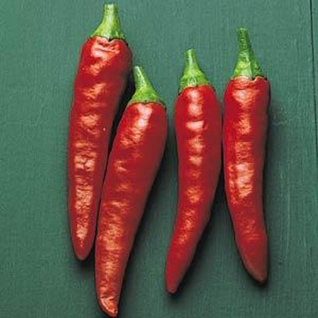 25 Super Chili Pepper Seeds F1 Variety Hot Pepper – trailingpetunia.com