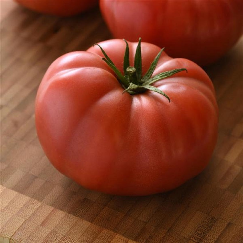 Tomato Blushing Star | Beefsteak Tomato | 25 Tomato Seeds ...
